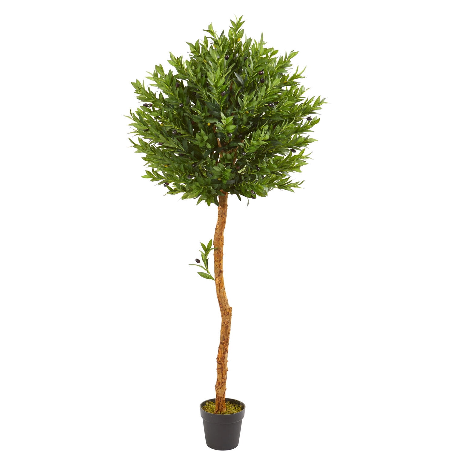 HomeStock Rococo Romance 5.5Ft. Olive Topiary Artificial Tree Uv ...