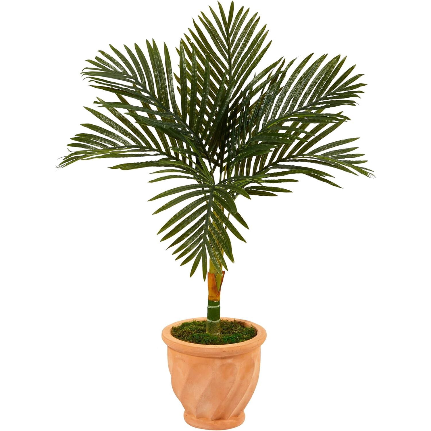 HomeStock Rustic Ranch 3.5Ft. Golden Cane Artificial Palm Tree In Terra ...