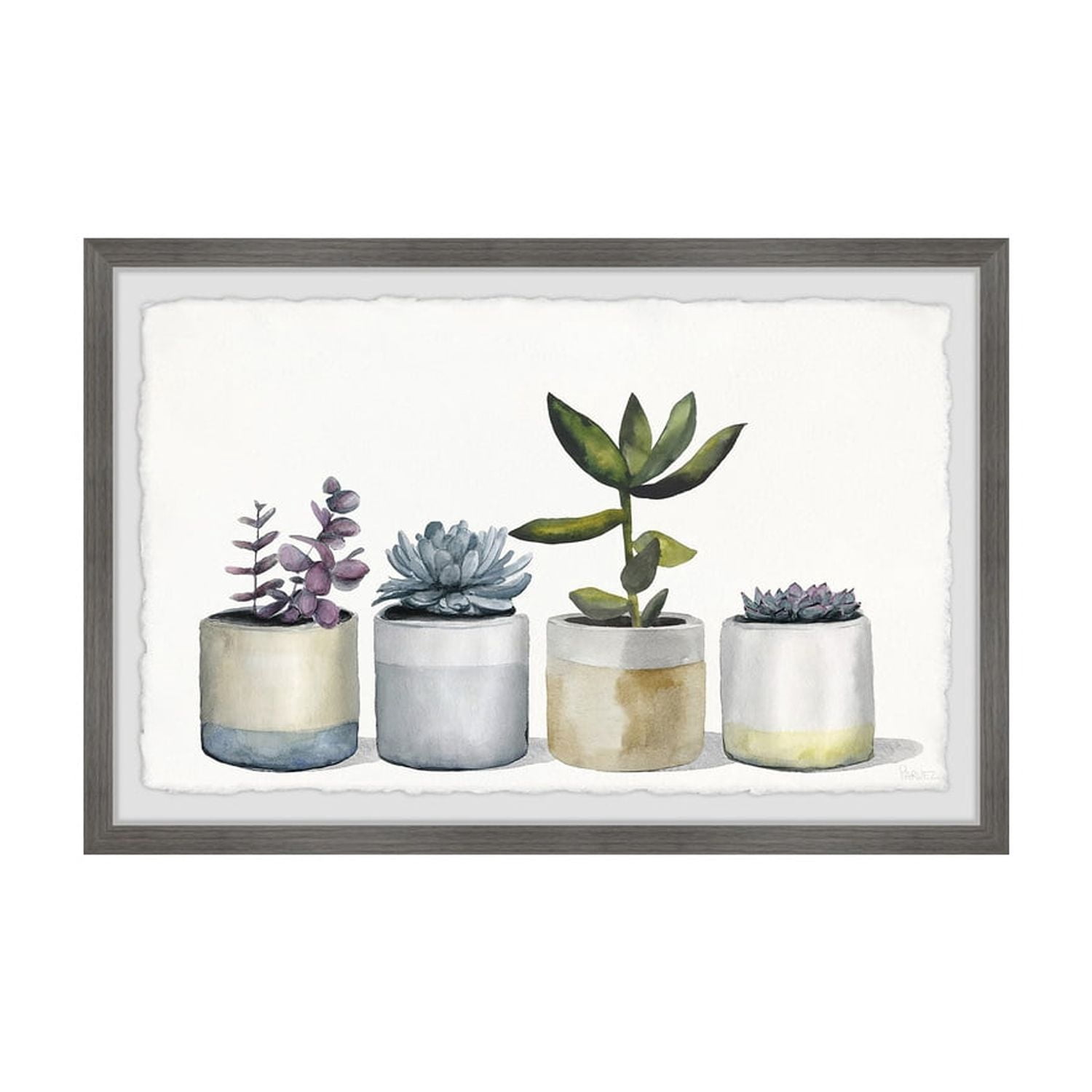 HomeStock Southwestern Sanctuary Dessert Plants Framed Painting Print ...