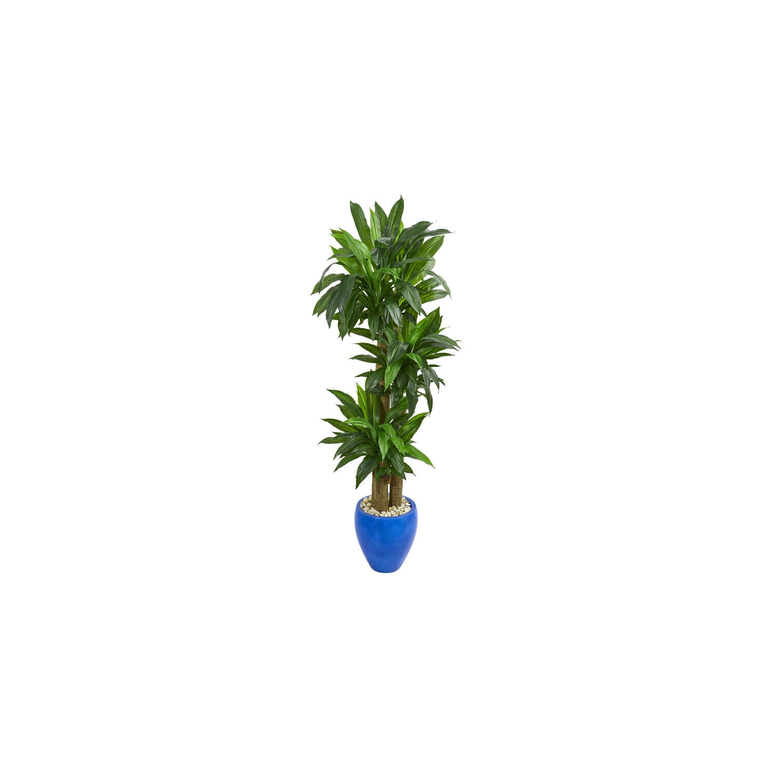 HomeStock Southwestern Sensibilities 6Ft. Cornstalk Dracaena Artificial ...