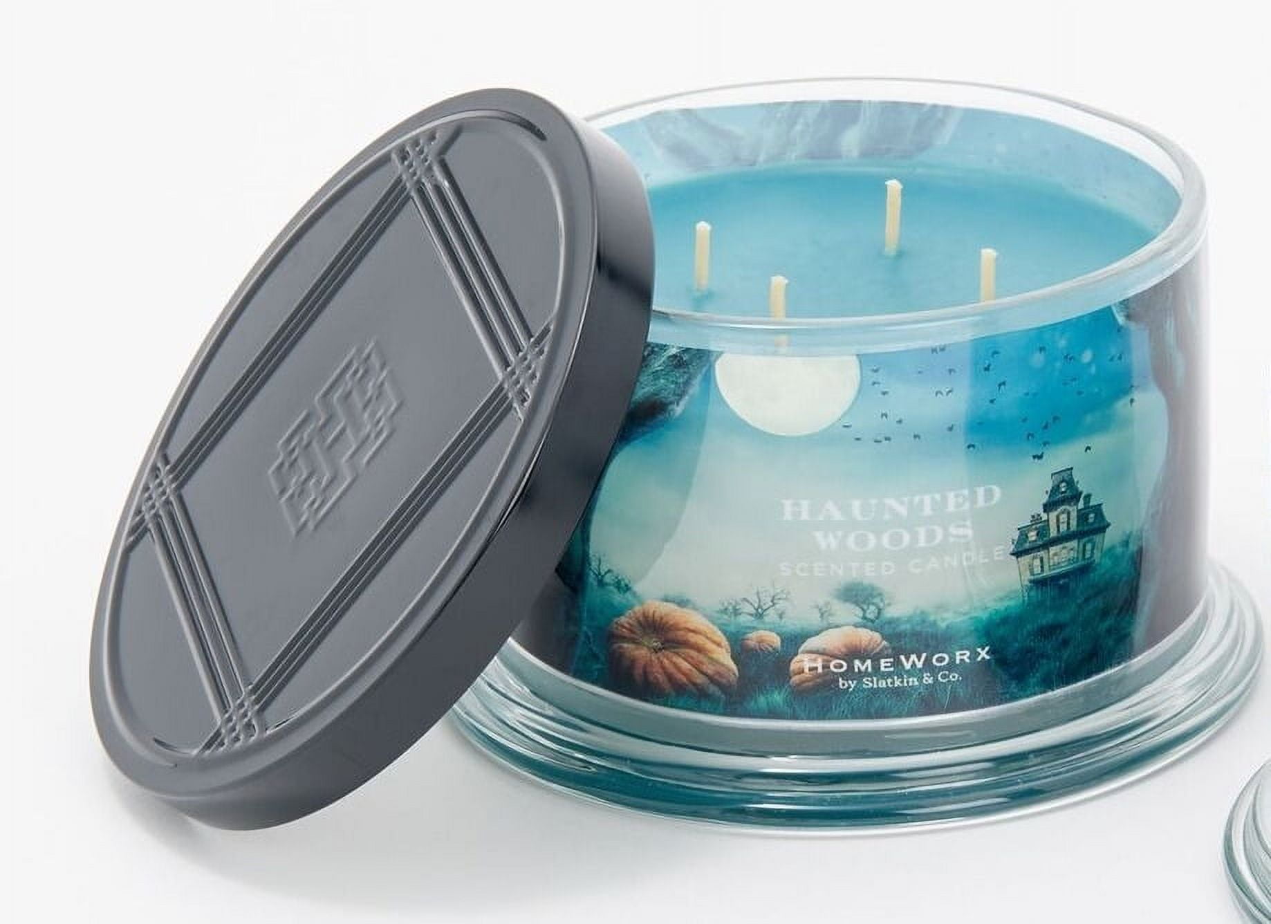 HomeWorx by Slatkin & Co. Haunted Woods 18oz Candle - Walmart.com