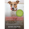 Natural Dog Food : Raw Feeding for Dogs: A comprehensive guide to ...