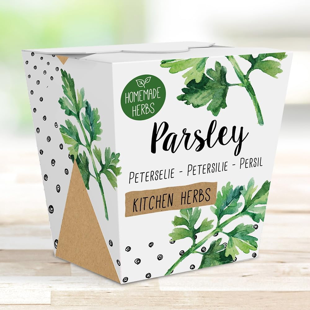 Homemade Herb Kit – All-in-One Kitchen Parsley – Indoor Garden Planter ...