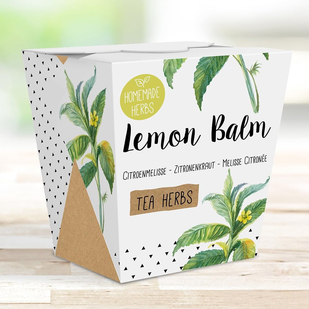 Homemade Herb Kit – All-in-One Tea Lemon Balm – Indoor Garden Planter ...