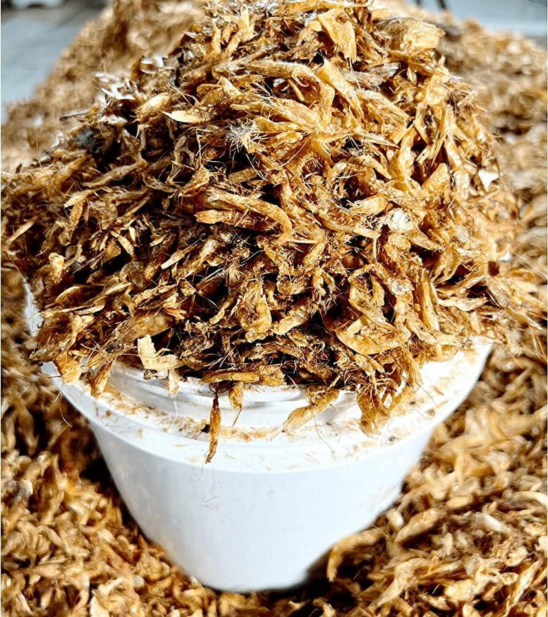 Homemade Sundried Radish Sinki Naturally Fermented KKS1 Super Sour ...