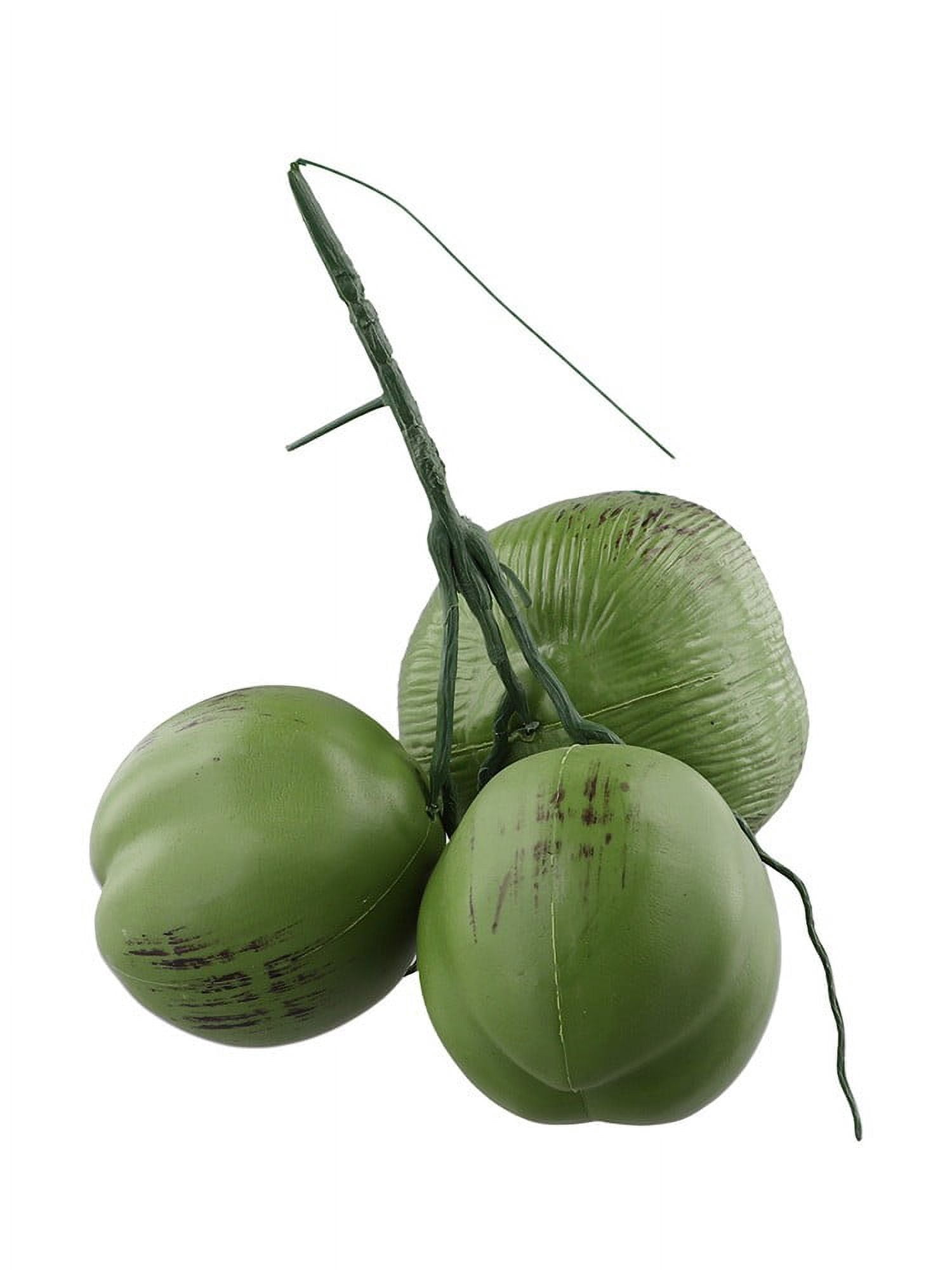Homena Fake Coconut Decor Simulated Fruit Props For Home Decor 11*10 ...