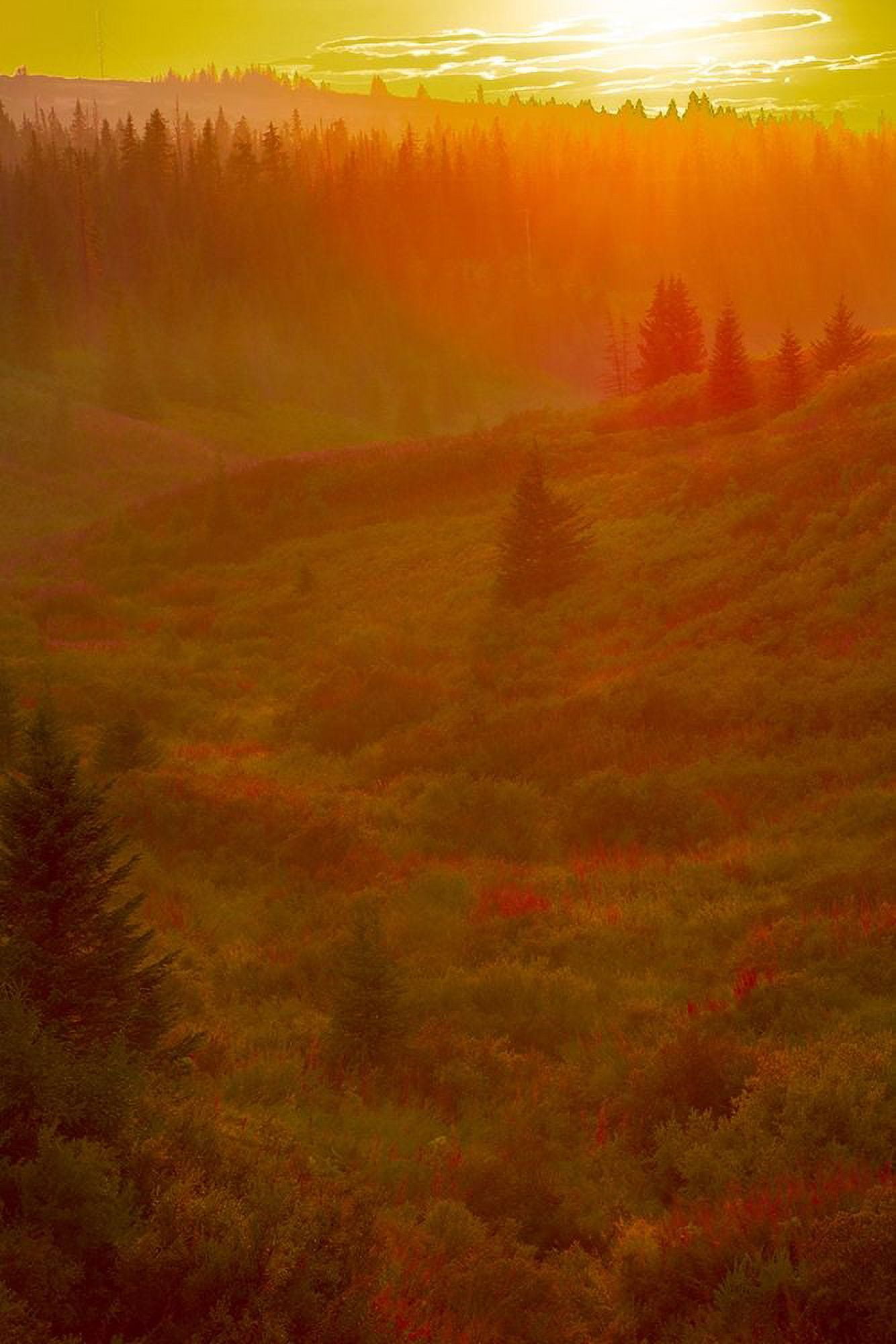 Homer-Alaska-scenic-sunset-golden-permafrost by Jolly Sienda (24 x 36 ...