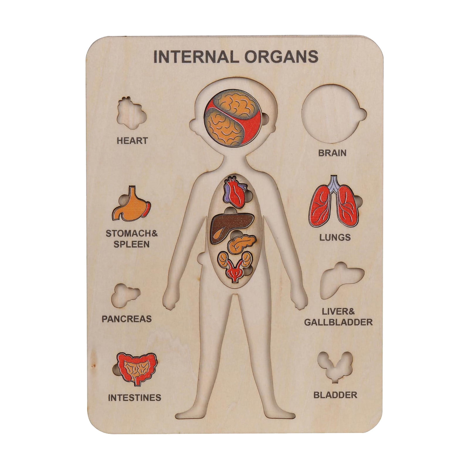 Homeschooling Organs Montessori Wooden Puzzle Puzzle Wood Puzzles Boys ...