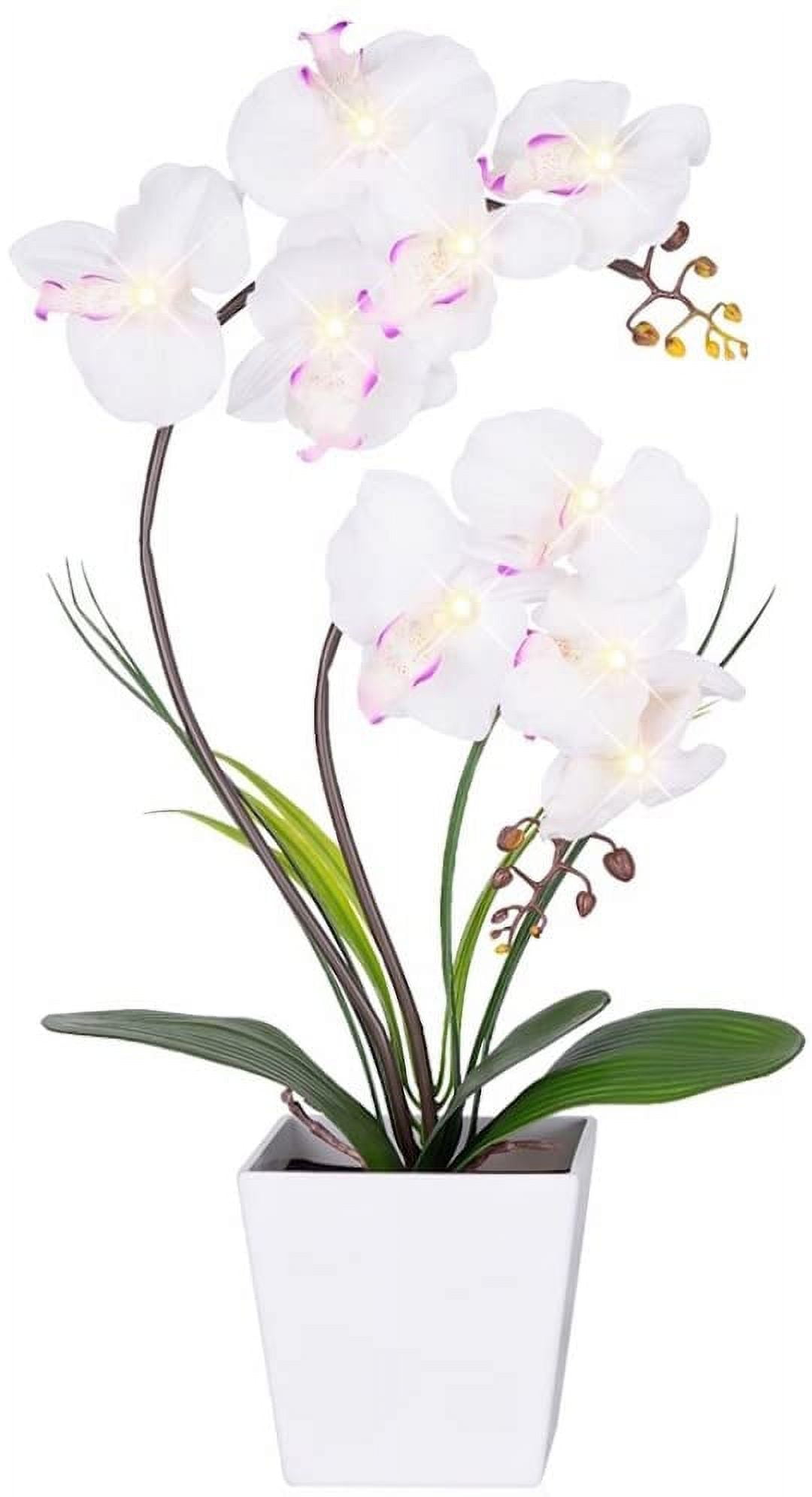 Homeseaons Orchid Lamp-LED Lighted Orchid Arrangements,Pre Lit ...