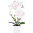 Homeseaons Orchid Lamp-LED Lighted Orchid Arrangements,Pre Lit ...