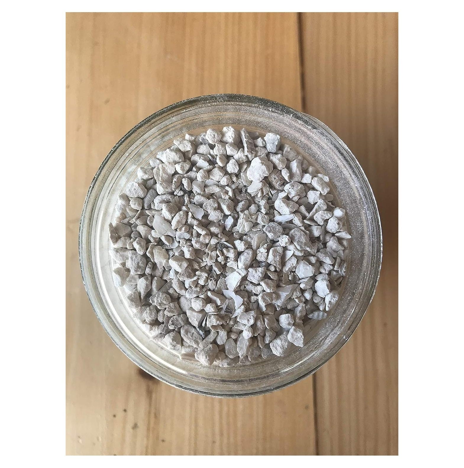 Homestead Harvest Coastal Oyster Shell Supplement – for Chickens and s ...