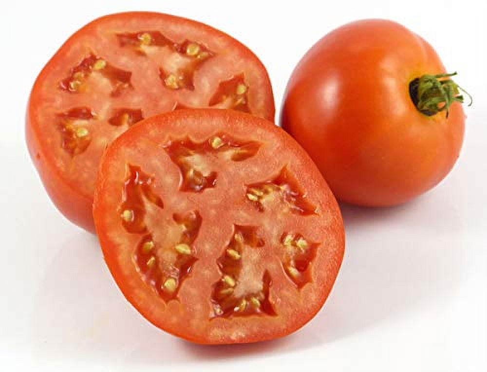 Homestead Heirloom Tomato Seeds, 150 Seeds Per Packet, Non GMO Seeds ...
