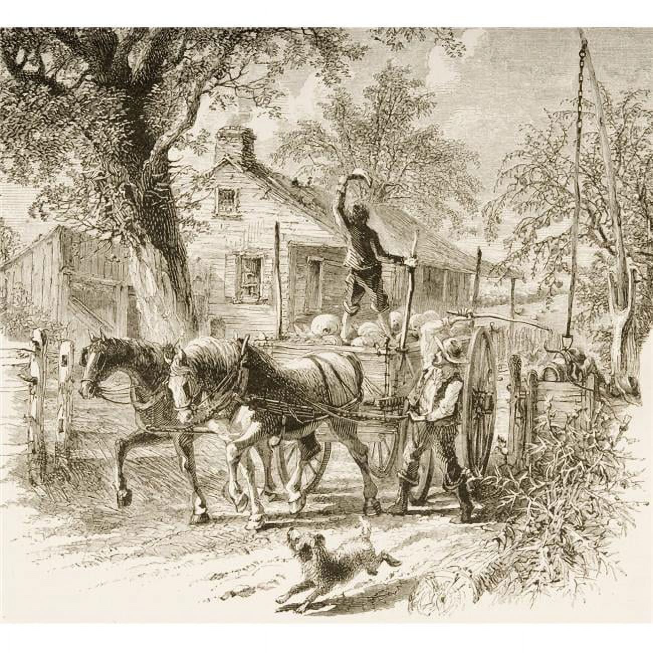 Homestead In Kansas In 1870S From American Pictures Drawn with Pen ...