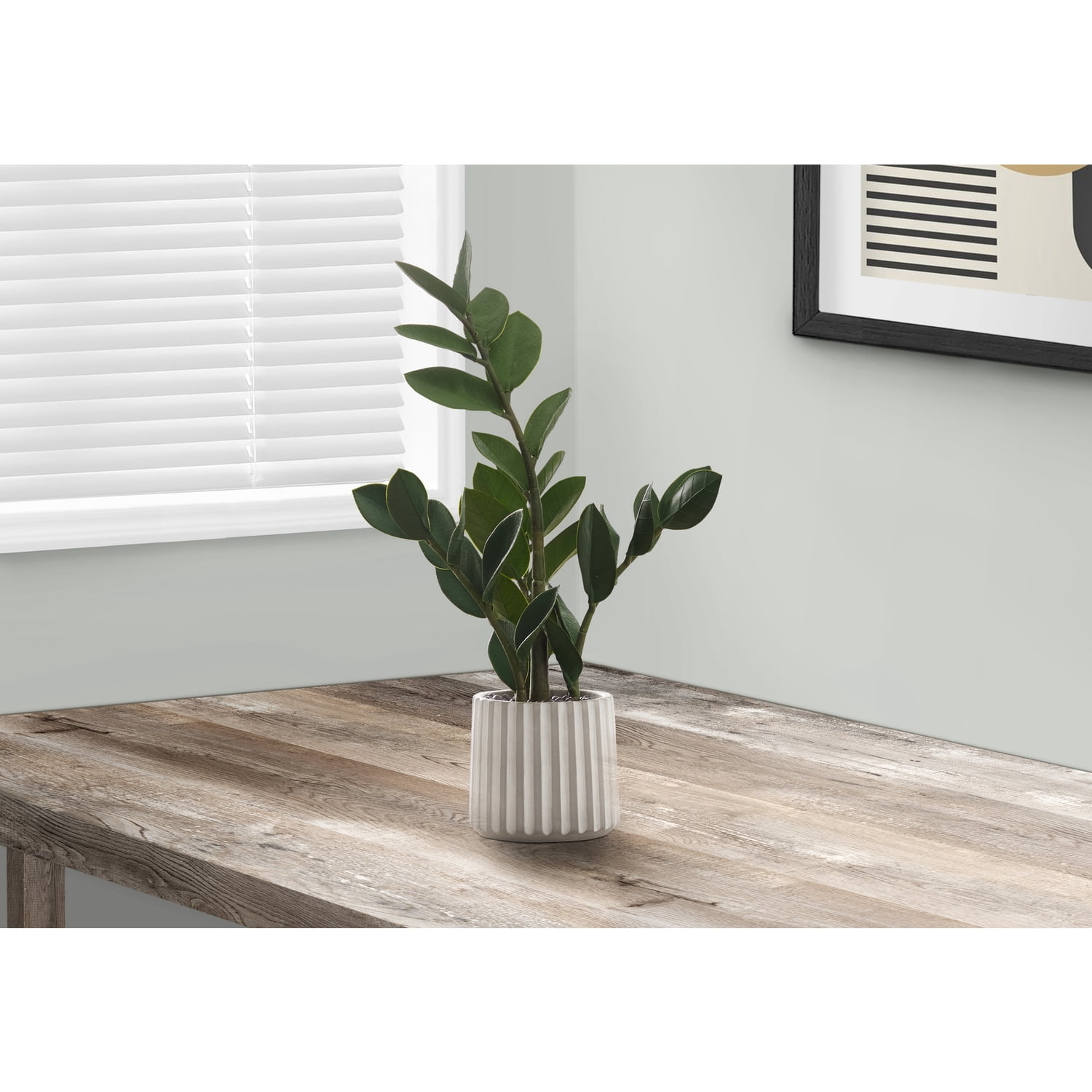 Homestock Art Deco Dreams Artificial Plant, 20" Tall, Zz, Indoor, Faux ...