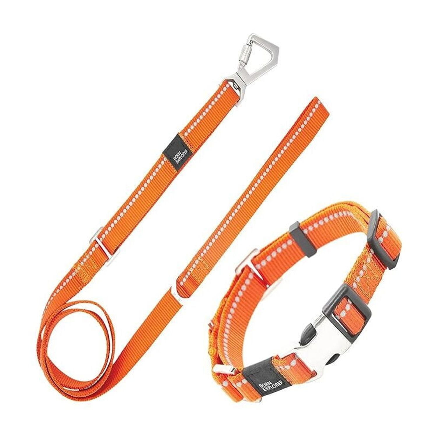 Dog Leash & Collar Set - Reflective Nylon Training Leash for Dogs ...