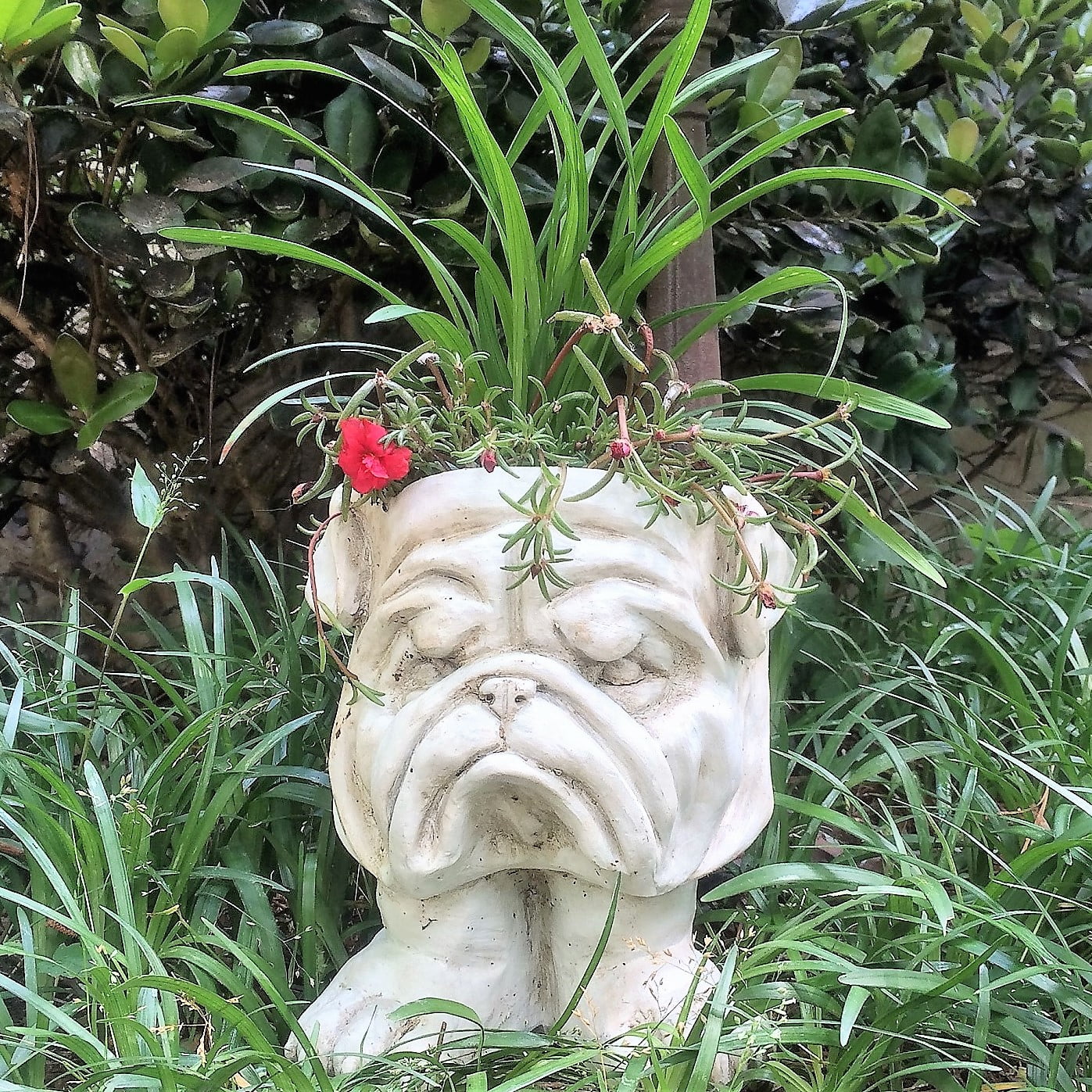 Homestyles Antique White Ole Salty & Grandma Violet the Muggly Face ...