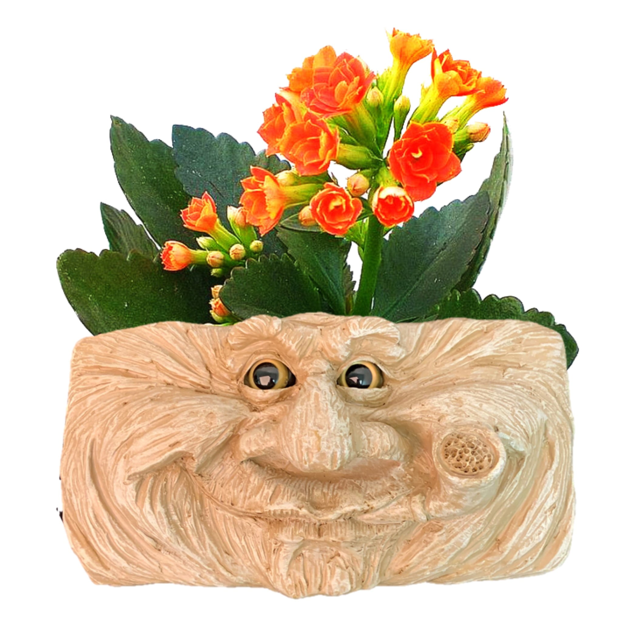 Homestyles Grandpa "Old Hickory" Muggly Face Garden Statue Tree & Patio ...
