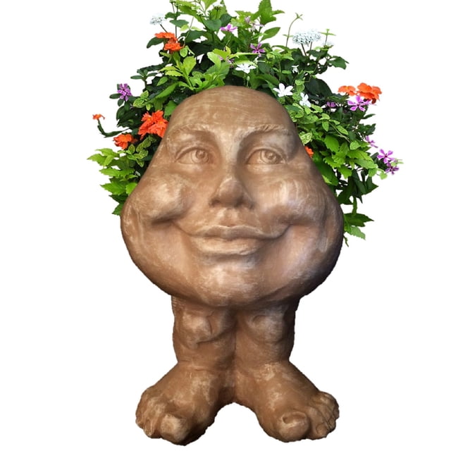Homestyles Stone Wash Daisy the Muggly Face Humorous Statue Planter Pot ...