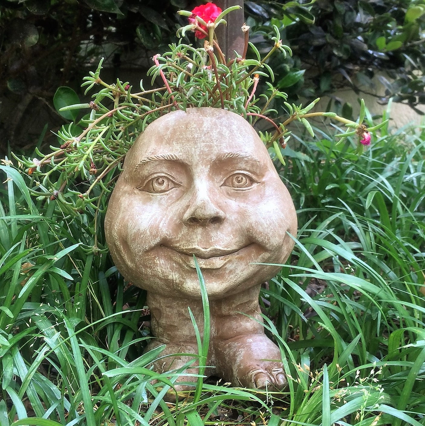 Homestyles Stone Wash Daisy the Muggly Face Humorous Statue Planter Pot ...