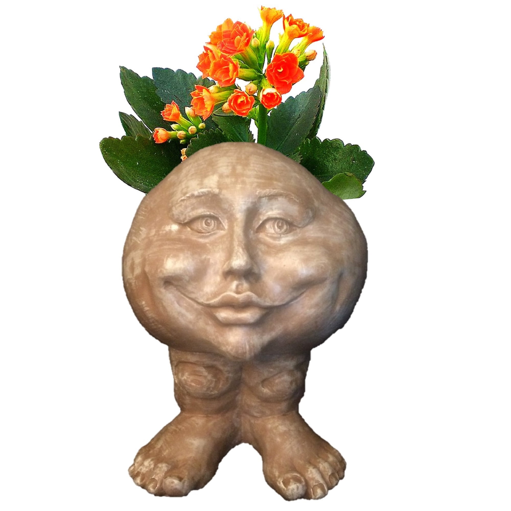 Homestyles Stone Wash Mama Petunia the Muggly Face Humorous Statue ...