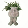 Homestyles Stone Wash Sister Suzy Q the Muggly Statue Face Planter Pot ...