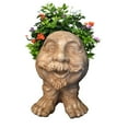Homestyles Stone Wash Uncle Nate the Muggly Face Humorous Statue ...