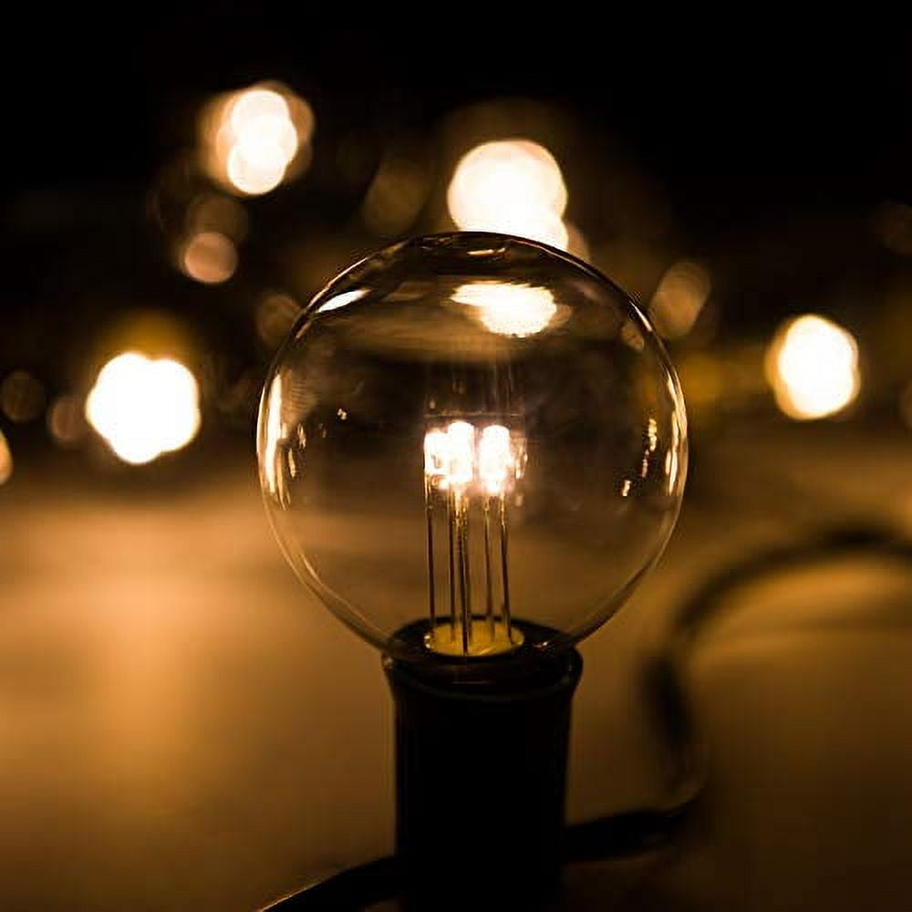 Hometown Evolution, Inc. G50 2" LED Diode Warm White Outdoor Patio ...