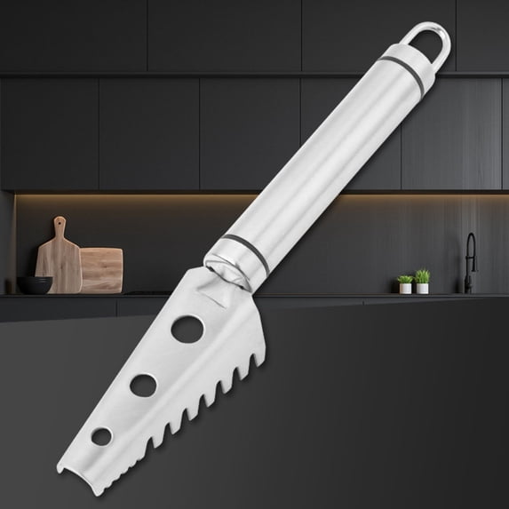 Hometravel Stainless Steel Fish Scaler, Manual Scale Removal Tool for ...