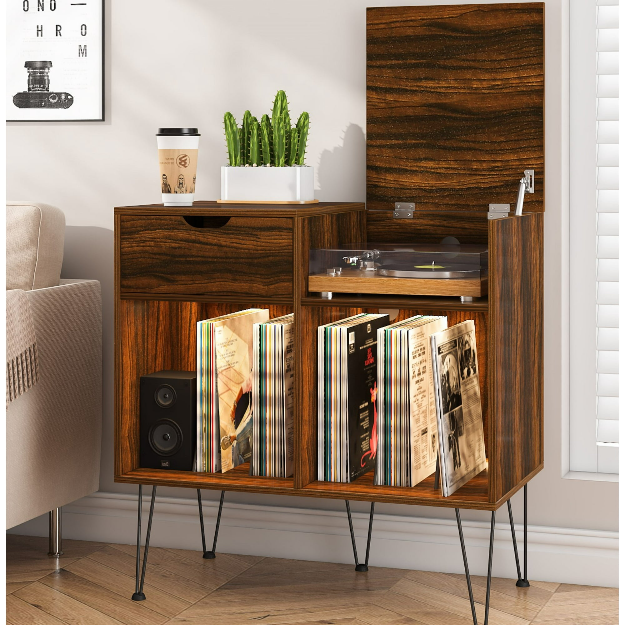 Record Album Storage Furniture