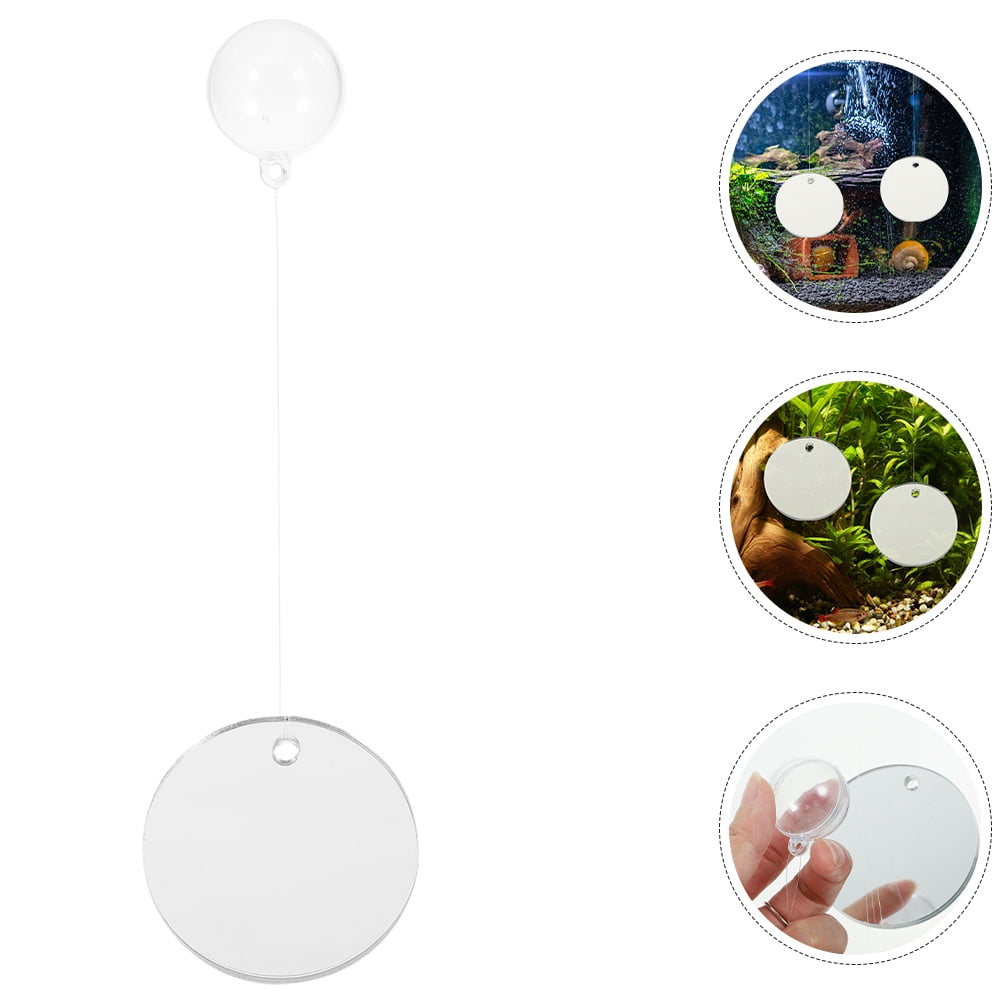 Homoyoyo Betta Fish Training Mirror Aquarium Use Transparent Acrylic ...