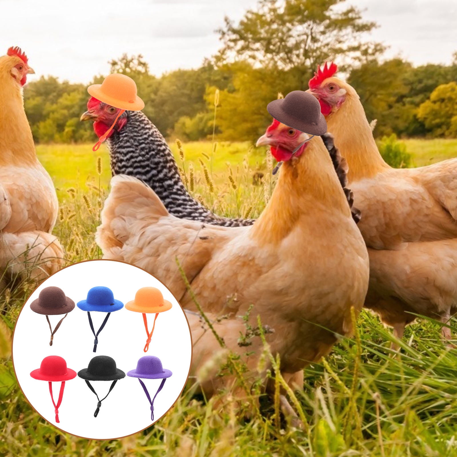 Homoyoyo 6Pcs Chicken Hat Hen Shape Assorted Color for Birds and ...