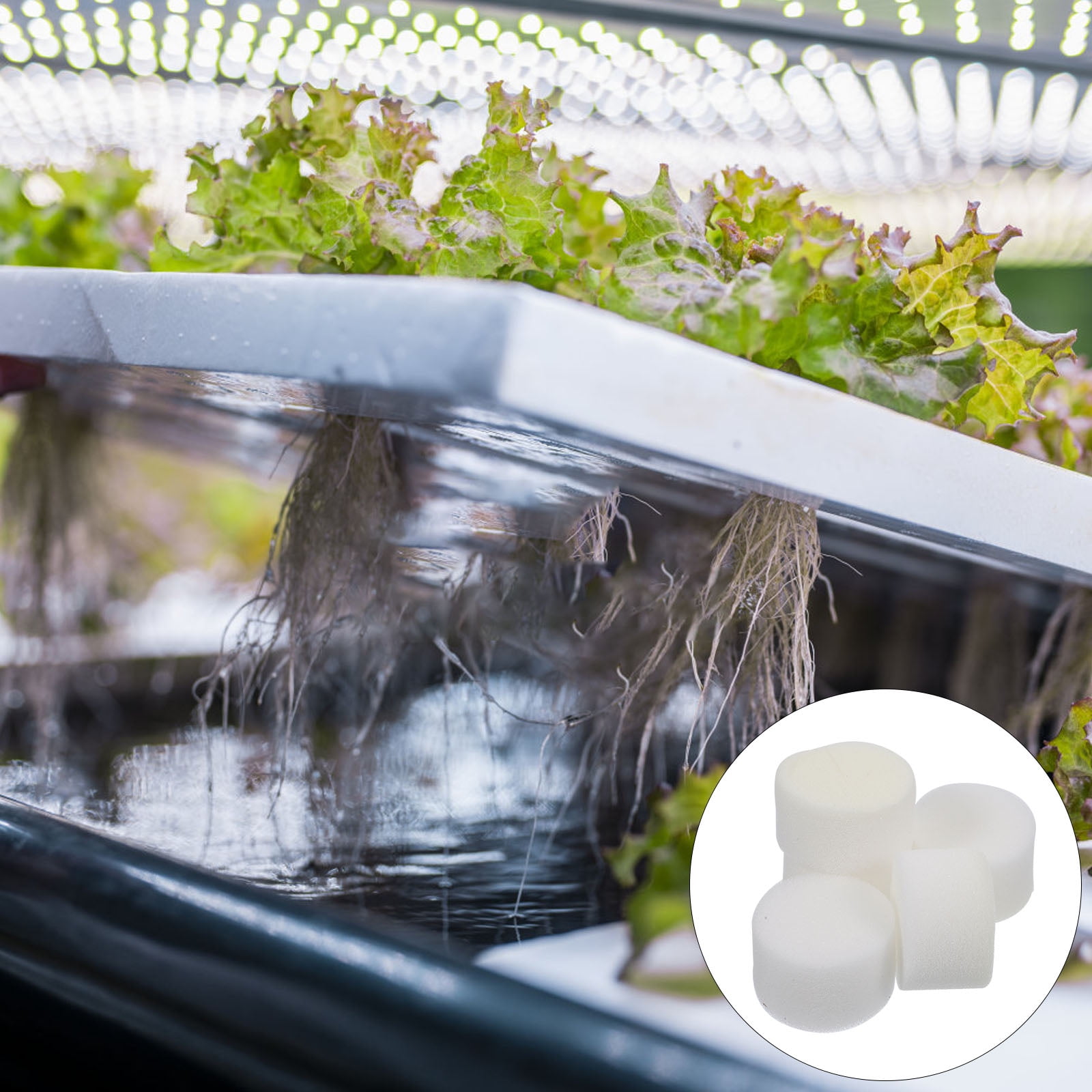 Homoyoyo Hydroponic Sponge Blocks 100 Pcs 4.5x2.7 Inch Rooting Sponges ...