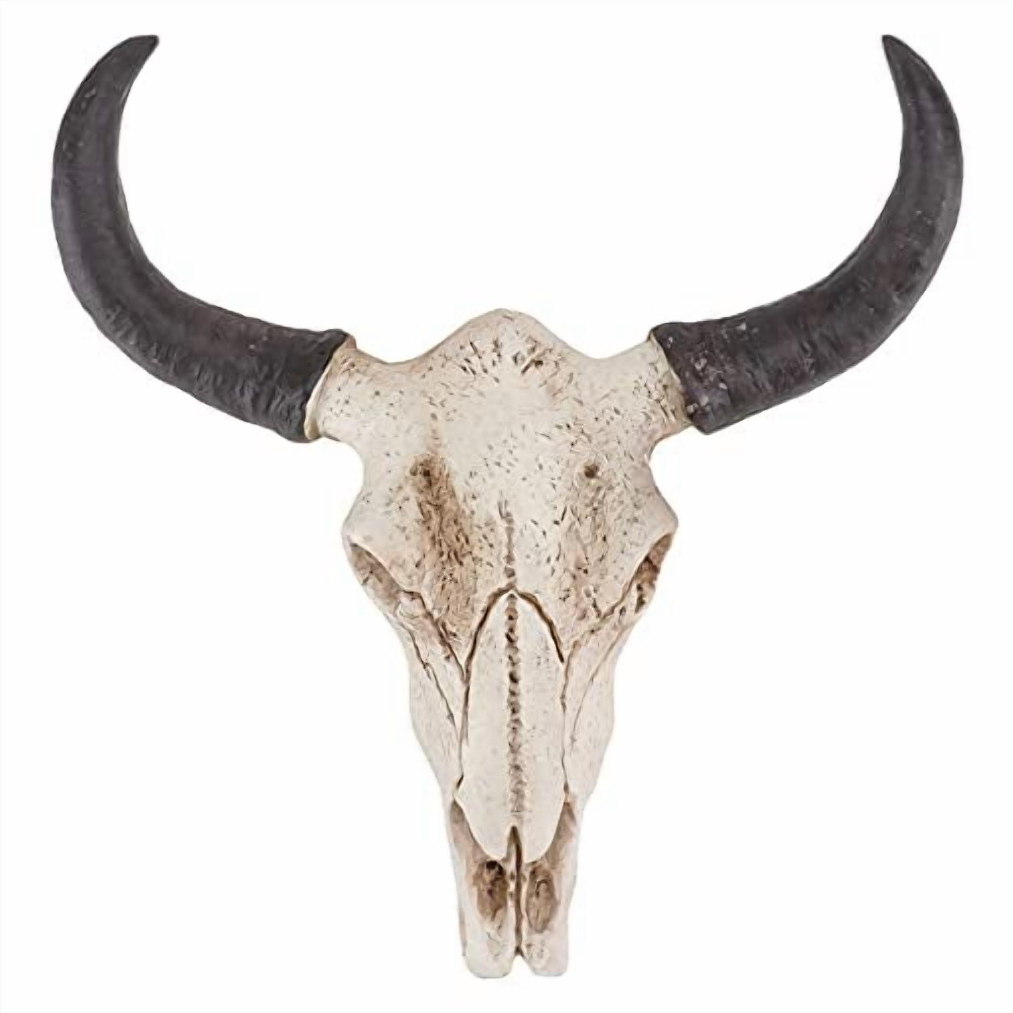 Homoyoyo Long Horn Cow Skull Resin Wall Hanging Horn Skulls Steer Bull ...