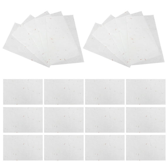 Homoyoyo Xuan Paper Chinese Calligraphy Practice Rice Paper for Ink ...