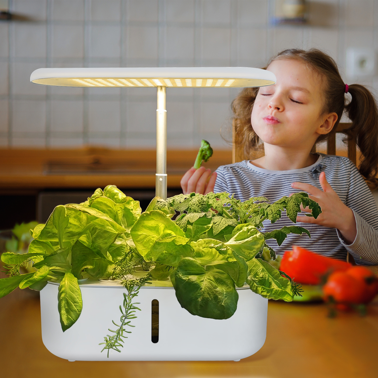 Grow Hydroponic Herb Garden Mushroom Growing Kit Aazon.co: Isting 11