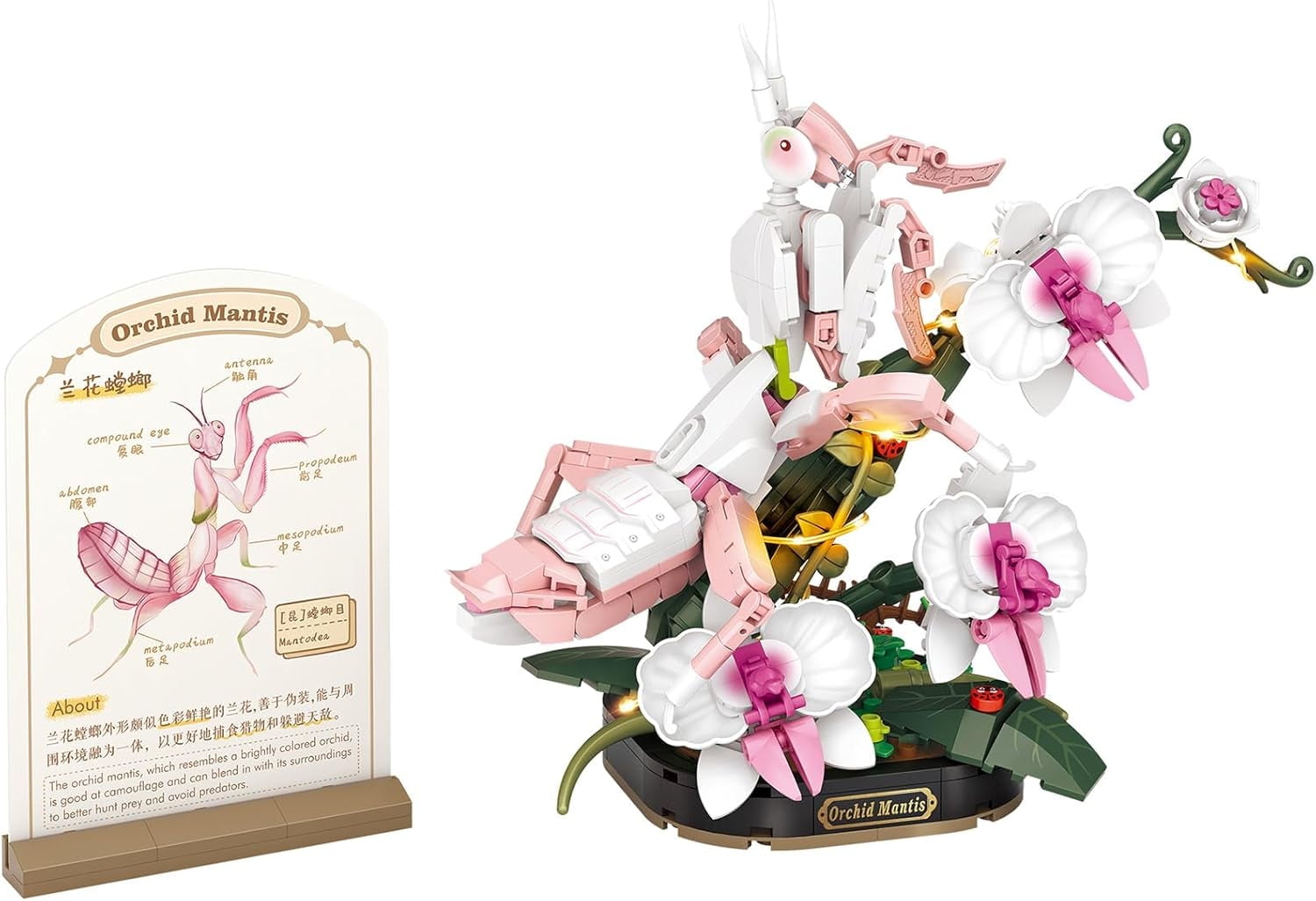 Honchoes Insect Flower Building Set with Orchid Mantis Science Card LED ...
