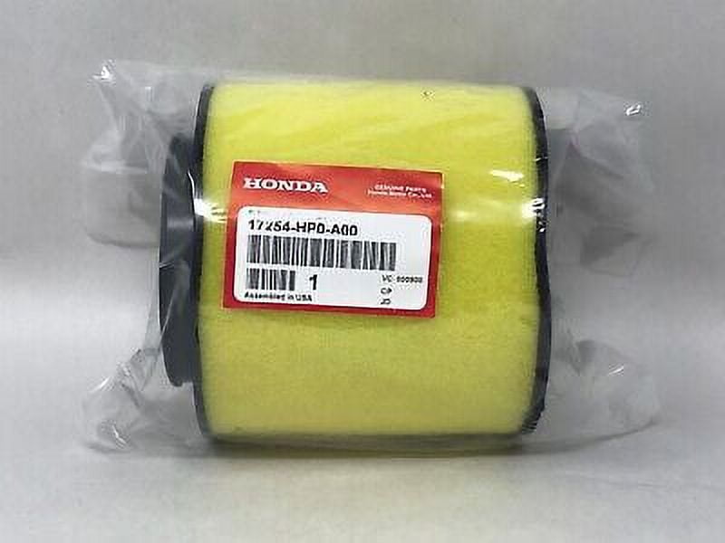 Honda Genuine OEM Element Air Filter 17254-HP0-A00 - Walmart.com