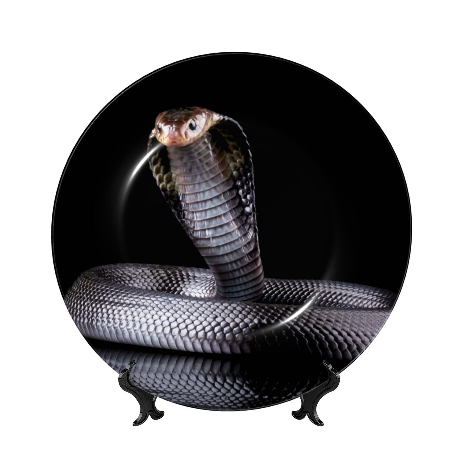 Honeii Black Cobra Snake Print Elegant Bone China Decorative Plate ...