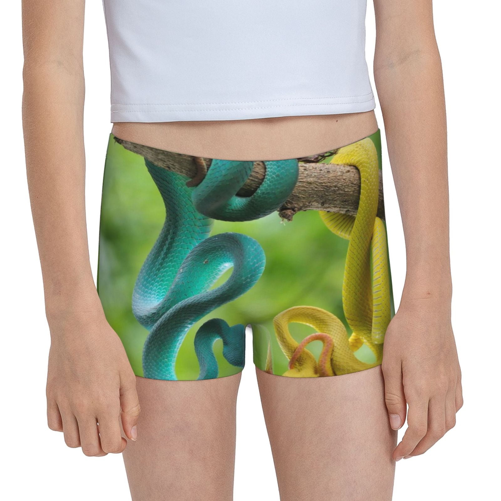 Honeii Blue Viper And Yellow Viper Snake Print 100% Cotton Boxer Briefs ...
