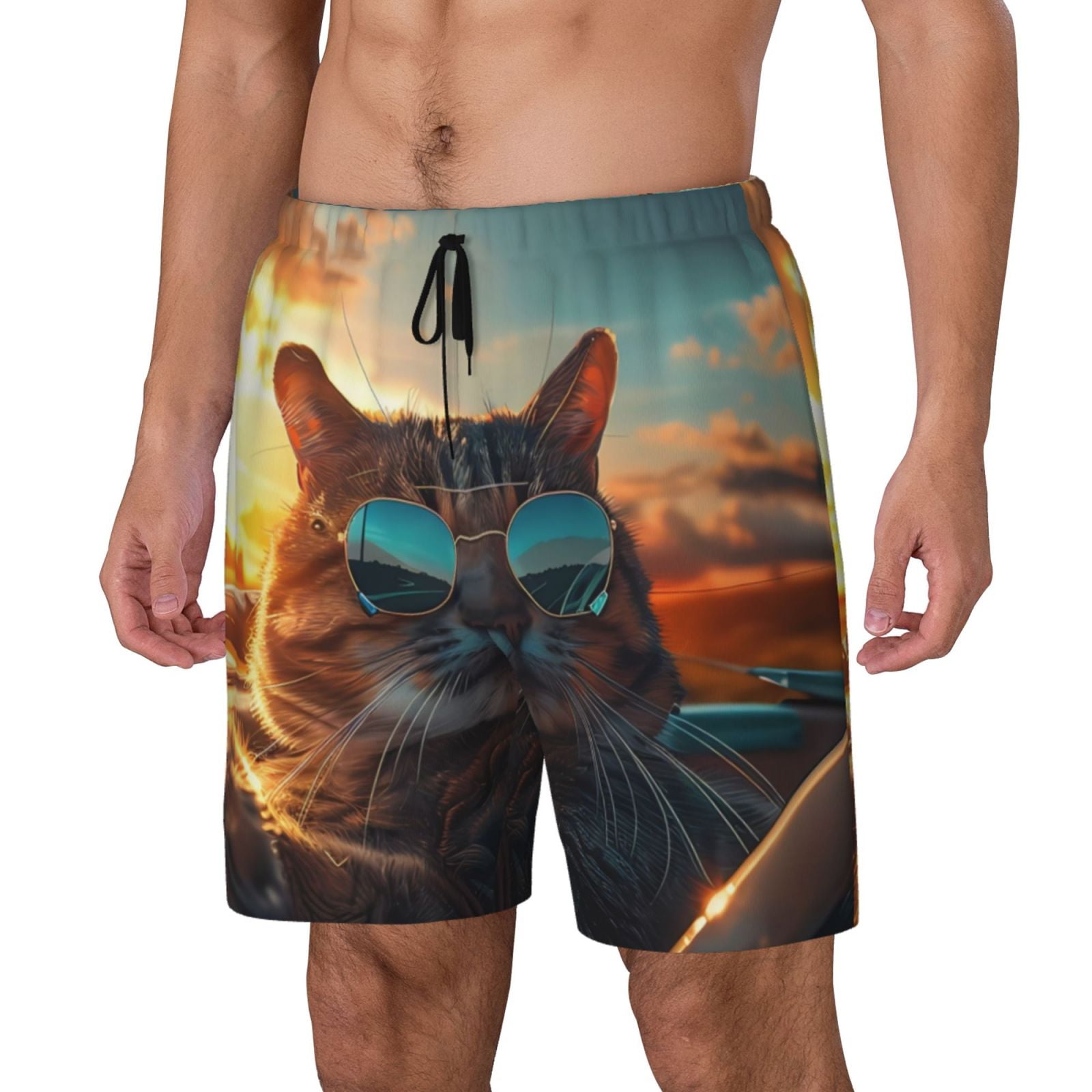 Honeii Cool Cat Driving Sunset Print Men's Swim Shorts,Mens Swim Trunks ...