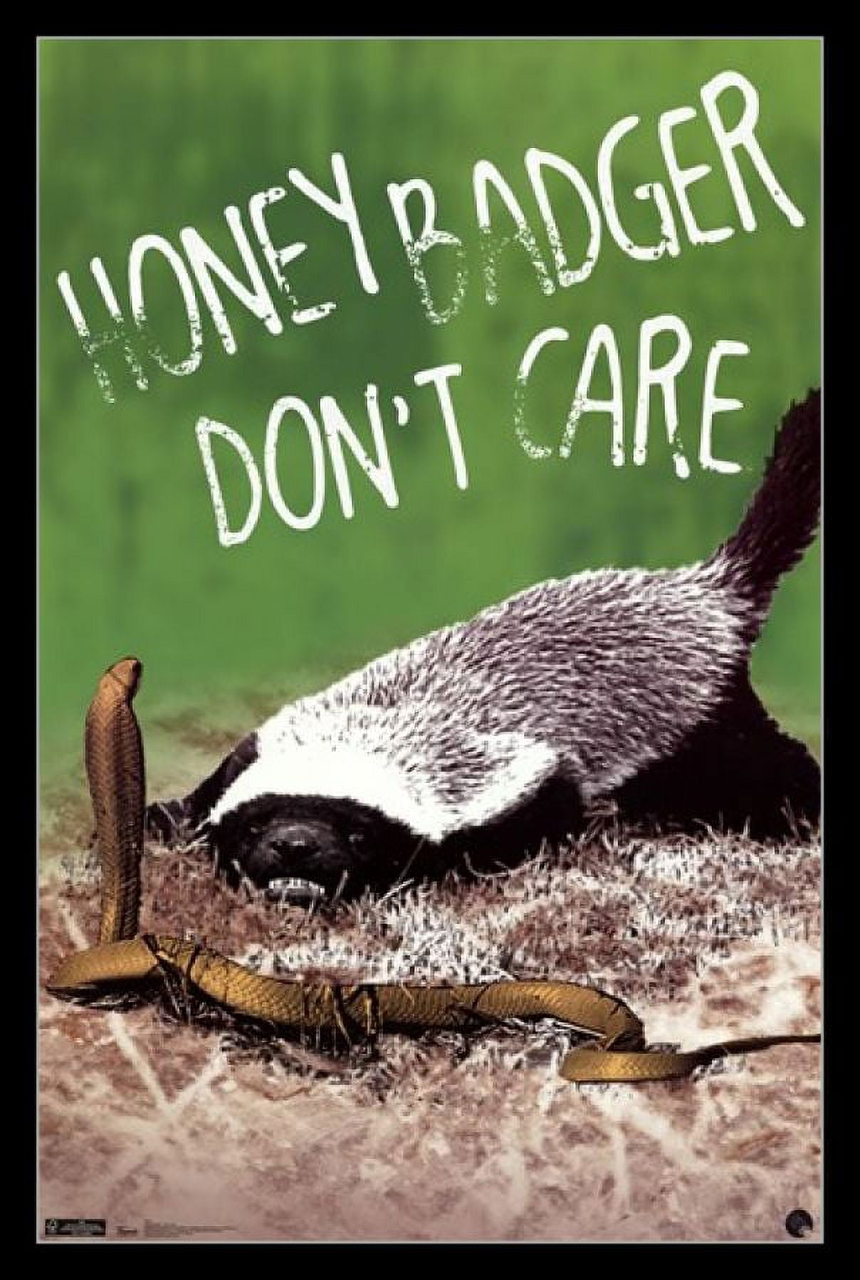 Honey Badgers Dont Care