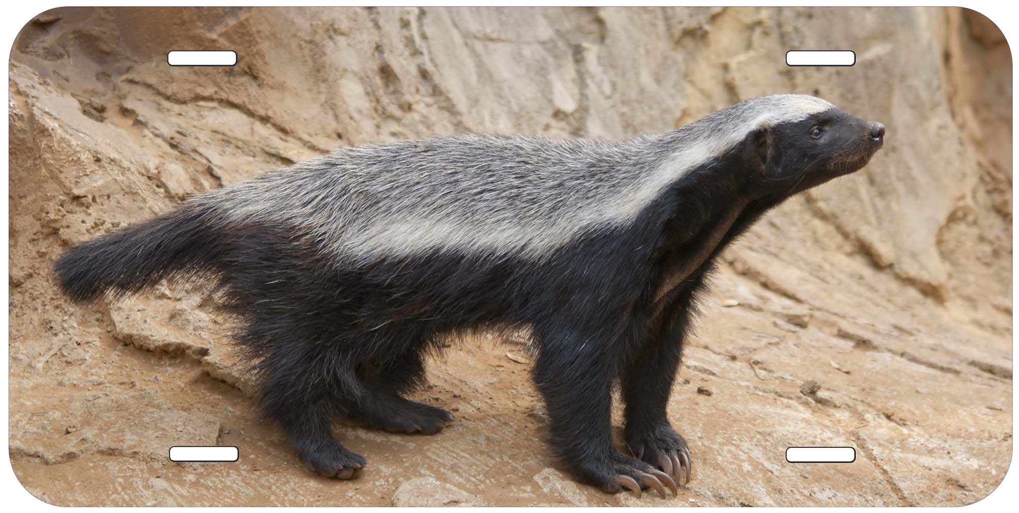 Honey Badger Novelty Car Auto License Plate - Walmart.com