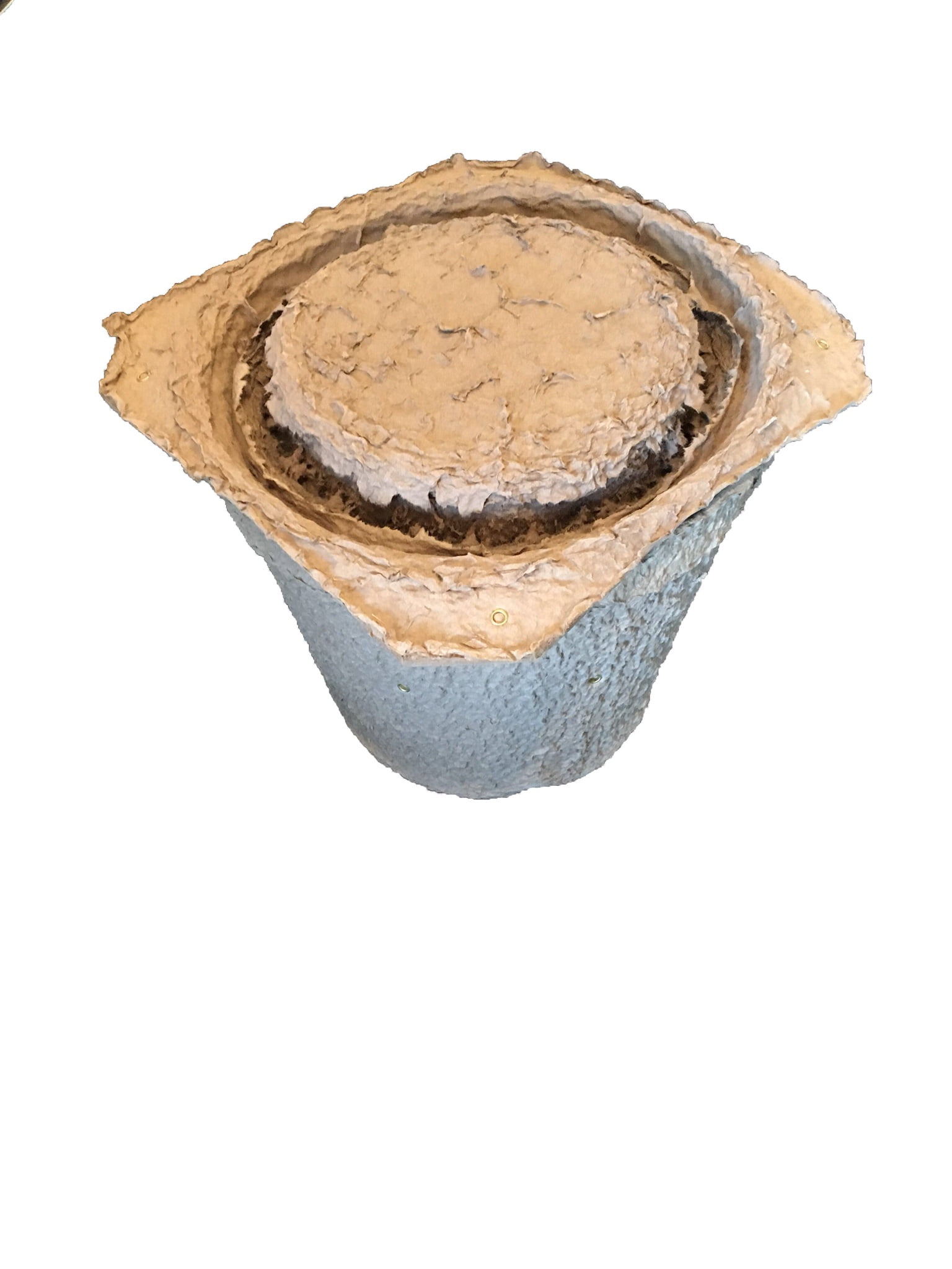 Honey Bee Cone Swarm Trap - Walmart.com