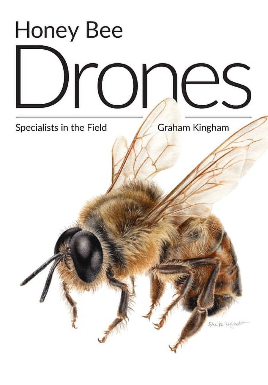 Honey Bee Drones - Walmart.com