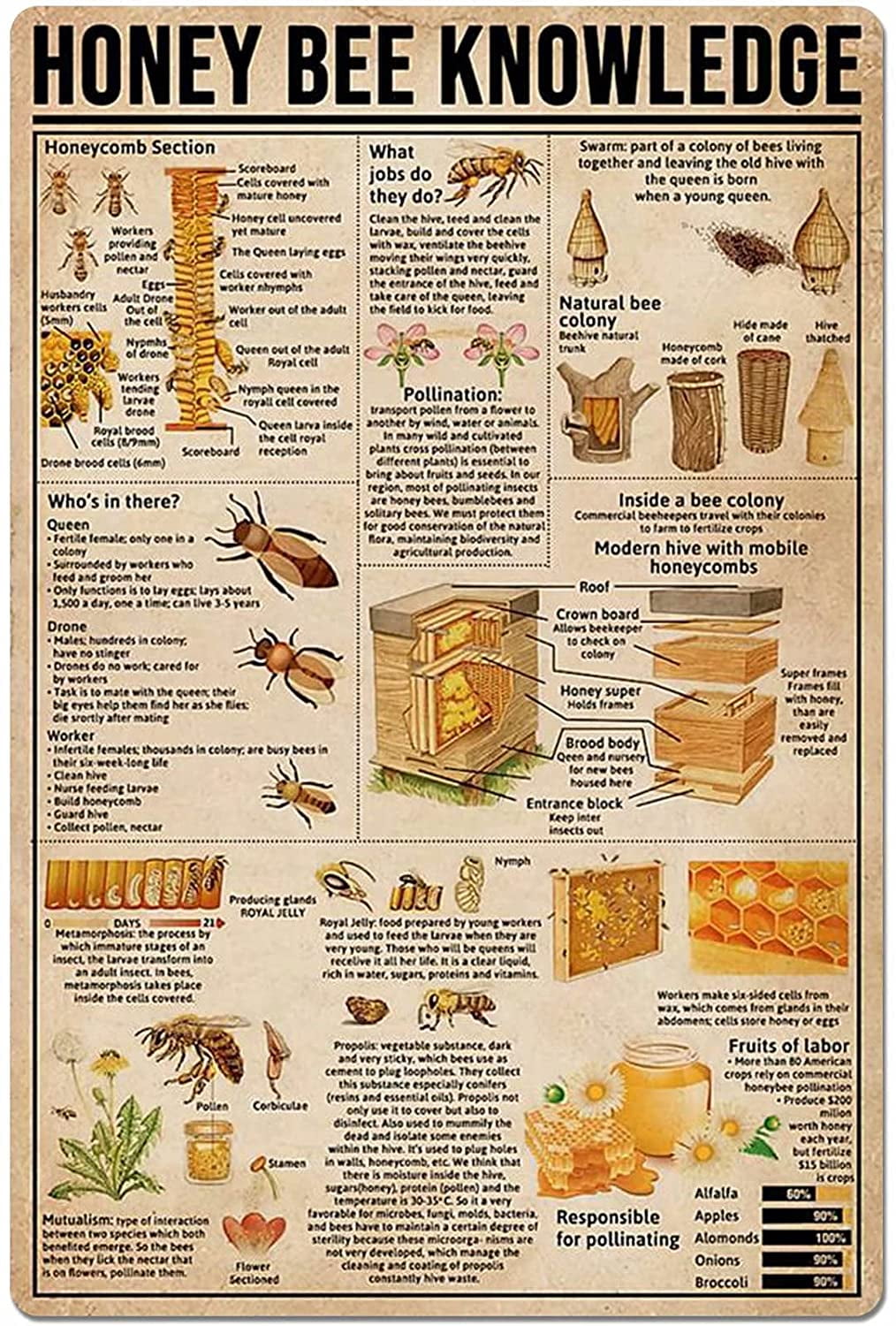 Honey Bee Knowledge Metal Sign Bee'S Social Life Illustration Tin Poster Field Outdoor Home ...