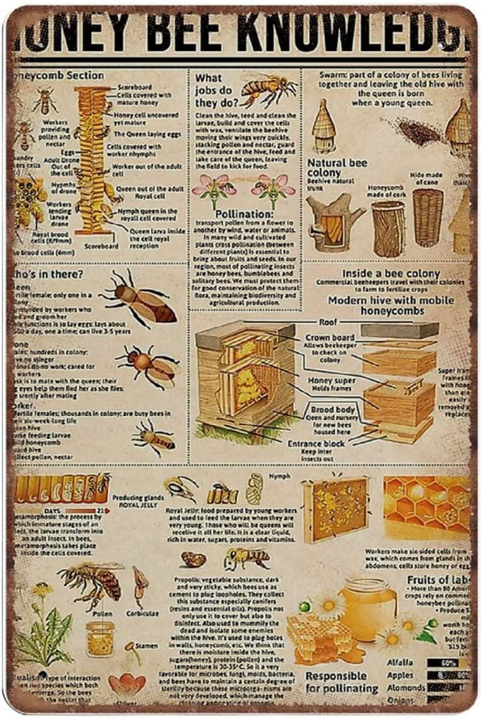 Honey Bee Knowledge Vertical Poster Bee Lover Gift Bee Collection ...