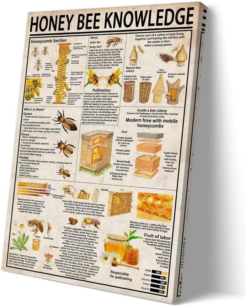 Honey Bee Wall Art Knowledge Poster Educational Chart Wall Art Honey ...