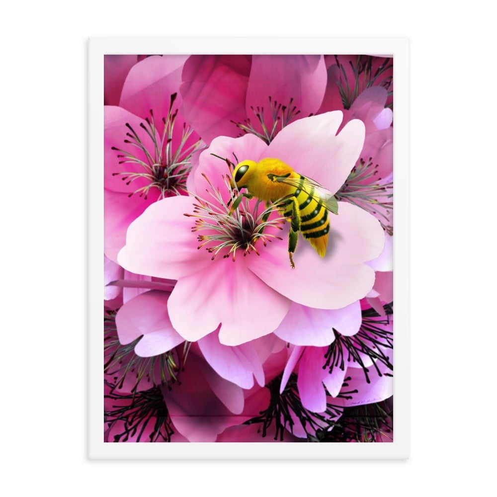 Honey Bee on Cherry Blossoms 18"x24" White Framed Art Print | Mark ...