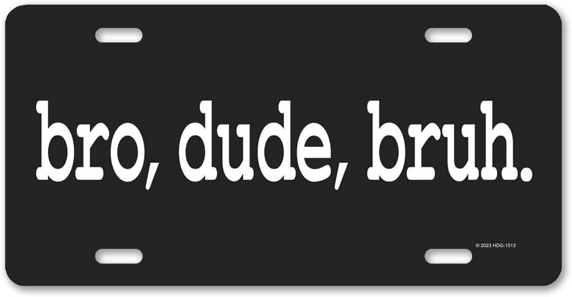 Honey Dew Gifts, Bro Dude Bruh, 12 inch by 6 inch, , Decorative Funny ...