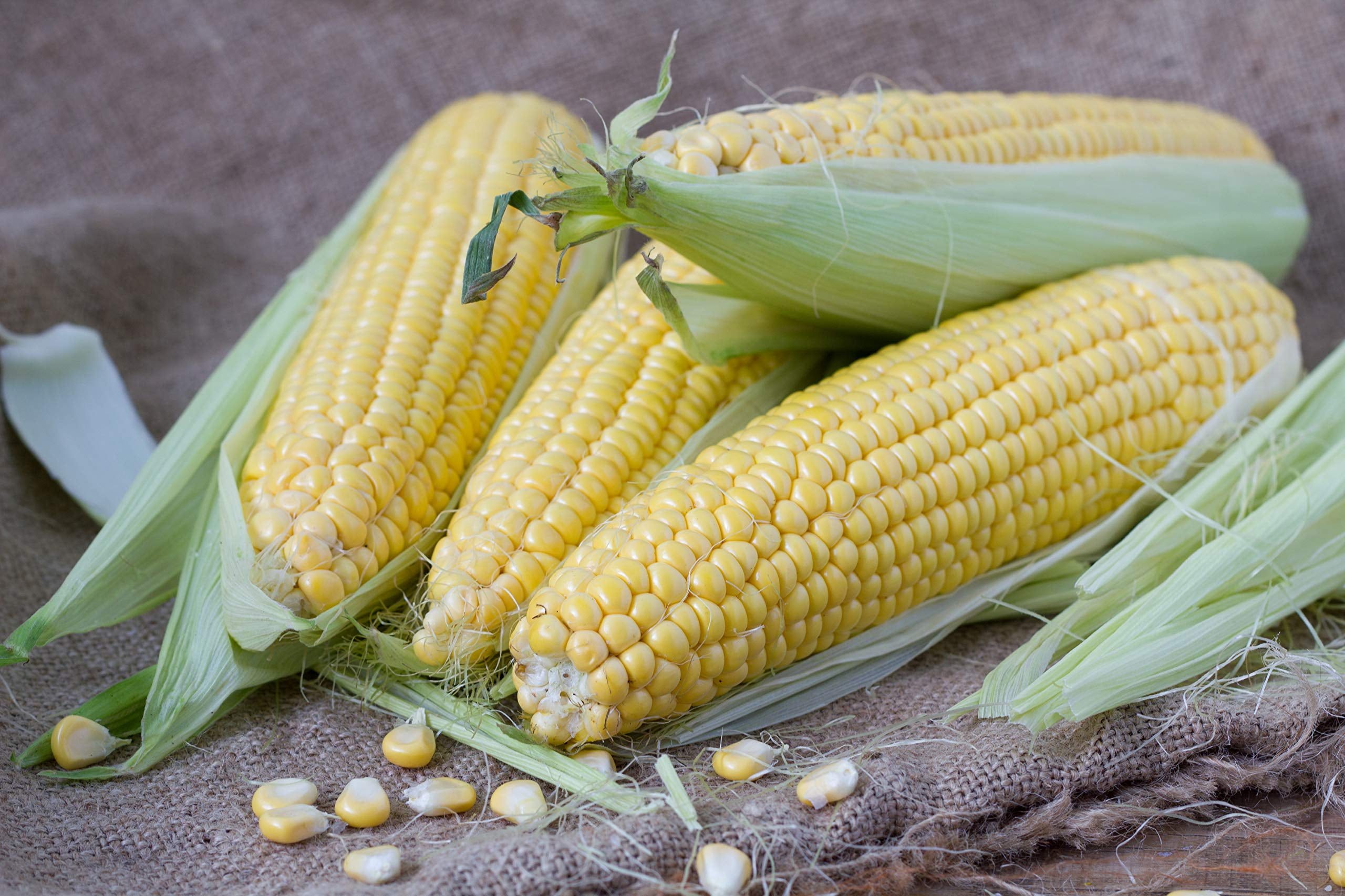 Honey Select Hybrid Corn Seeds MVR1 - Walmart.com